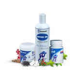 Buy Ayurvedic Pain Relief Products Online - Joint & Muscle Pain – Deemark